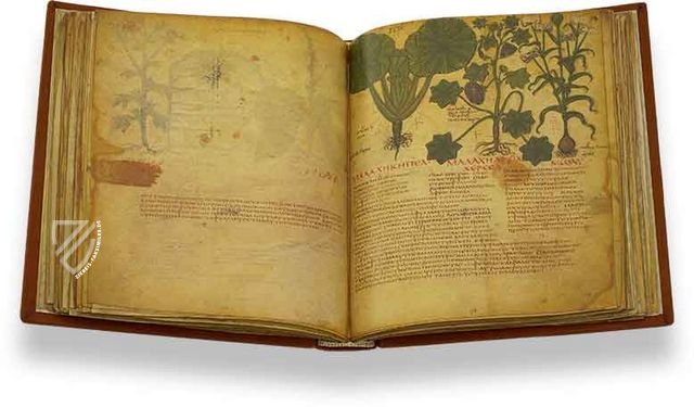 Dioskurides Neapolitanus - Ziereis Faksimiles